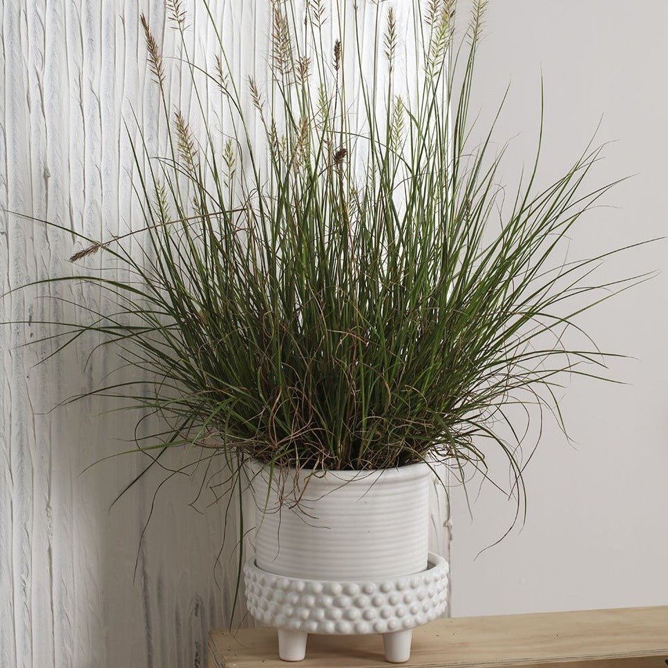 Jane Footed Pot – Sunday Blooms