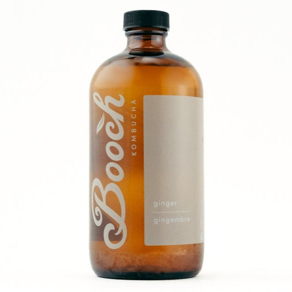 Ginger Kombucha • Booch – Sunday Blooms