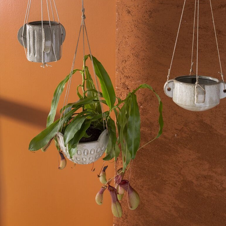 Cromwell Hanging Pot – Sunday Blooms