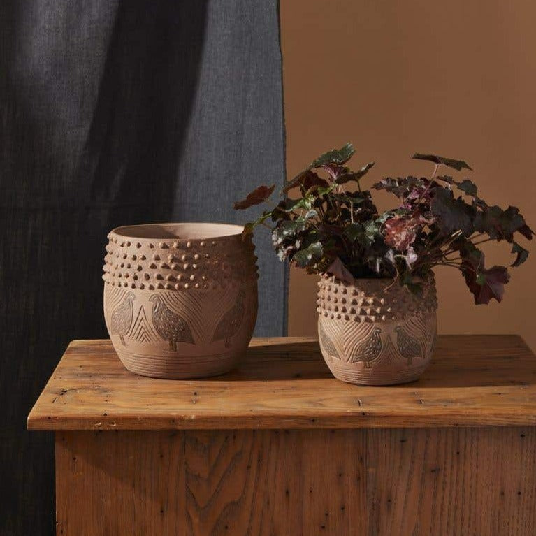 Mountain Quail Pot – Sunday Blooms