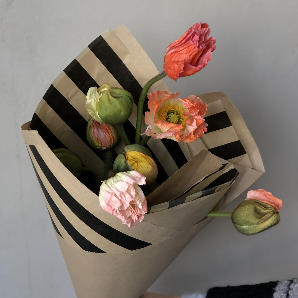 Poppy Bundle – Sunday Blooms