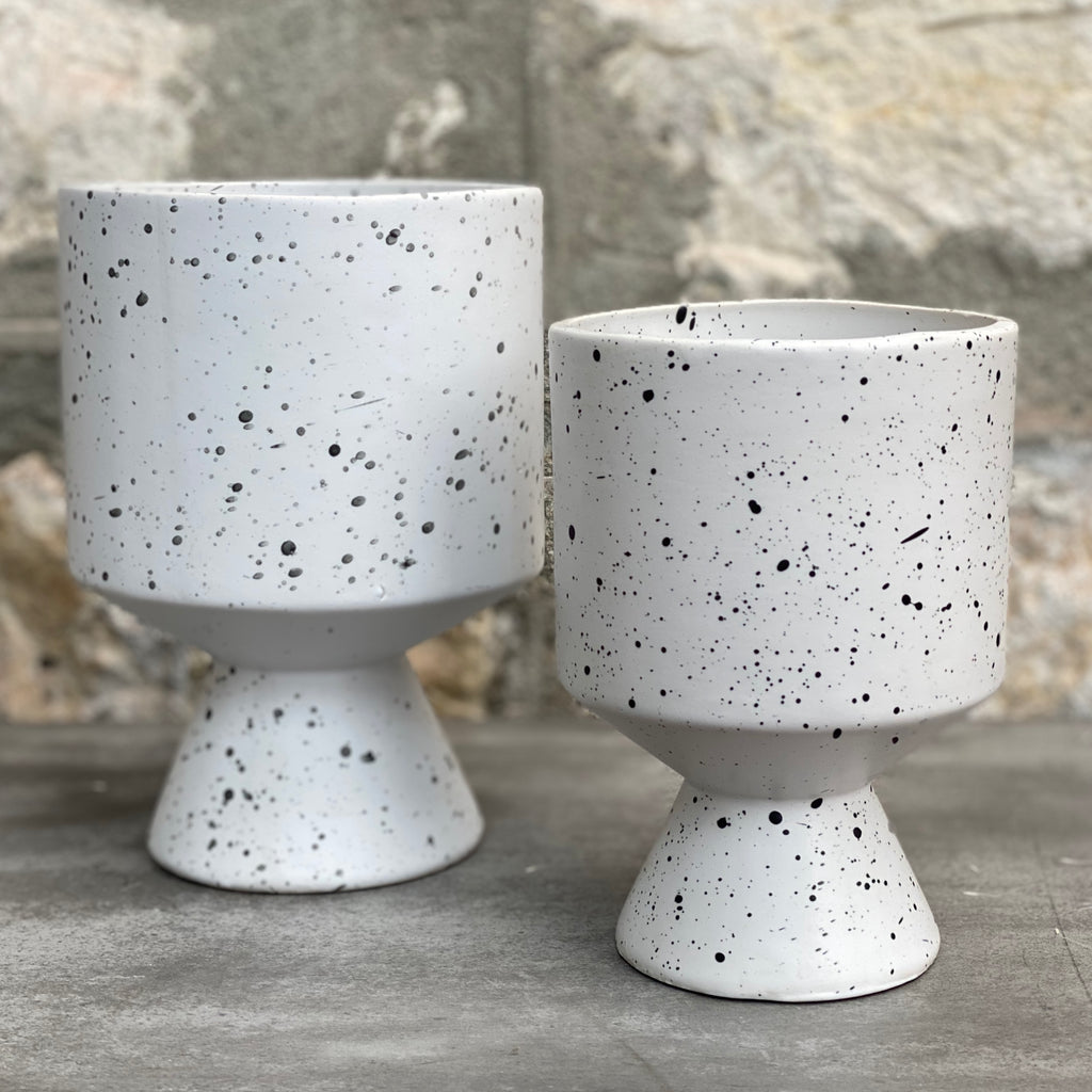 DeVil Pot – Sunday Blooms