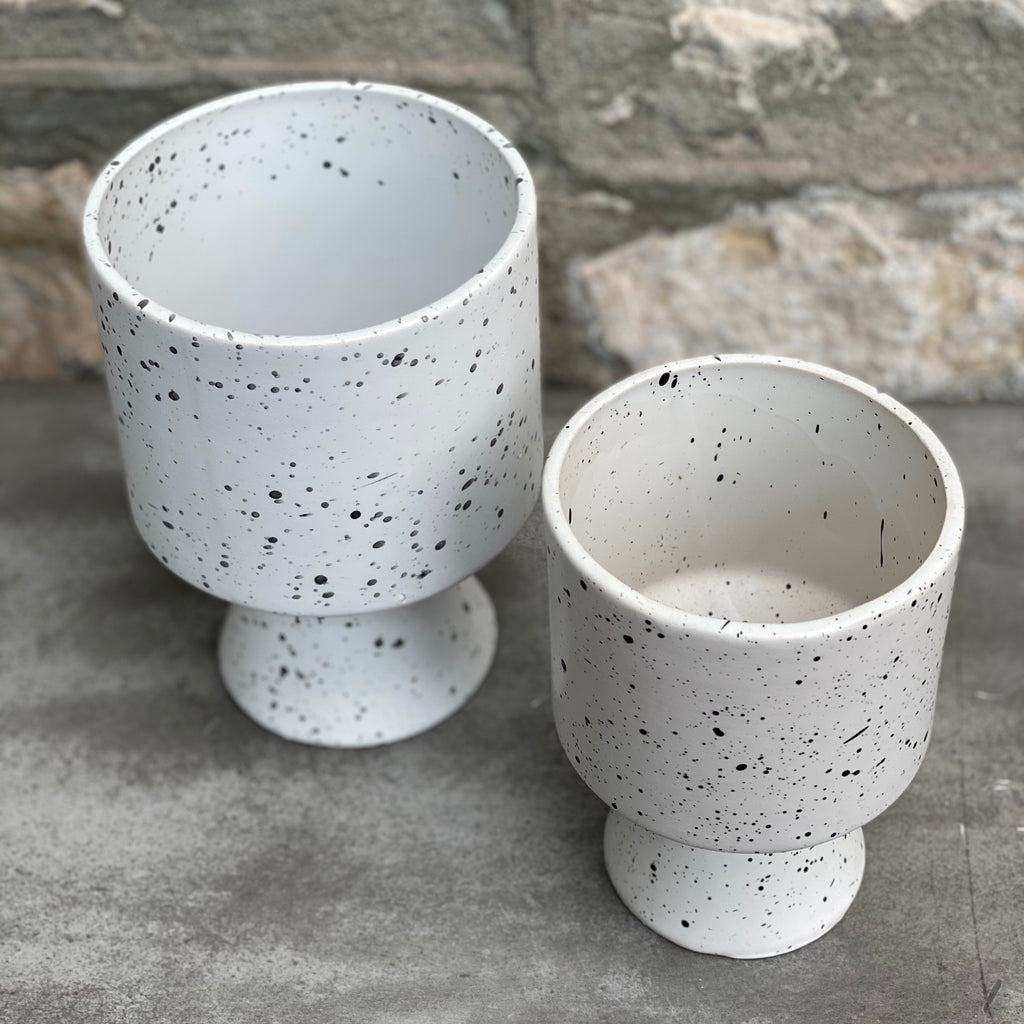 DeVil Pot – Sunday Blooms