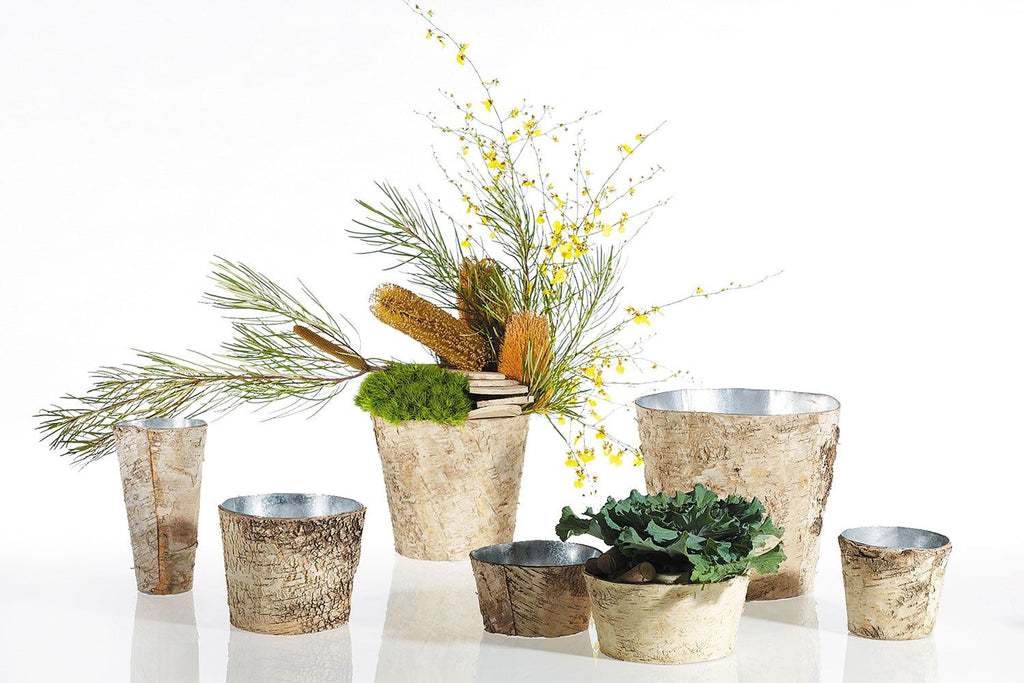 Birch Pot Collection – Sunday Blooms